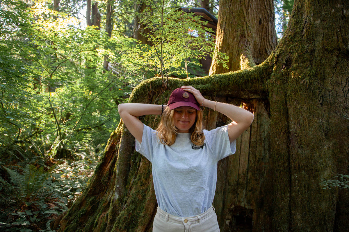 Treehouse Point "Dad" Hat – Be in a Tree